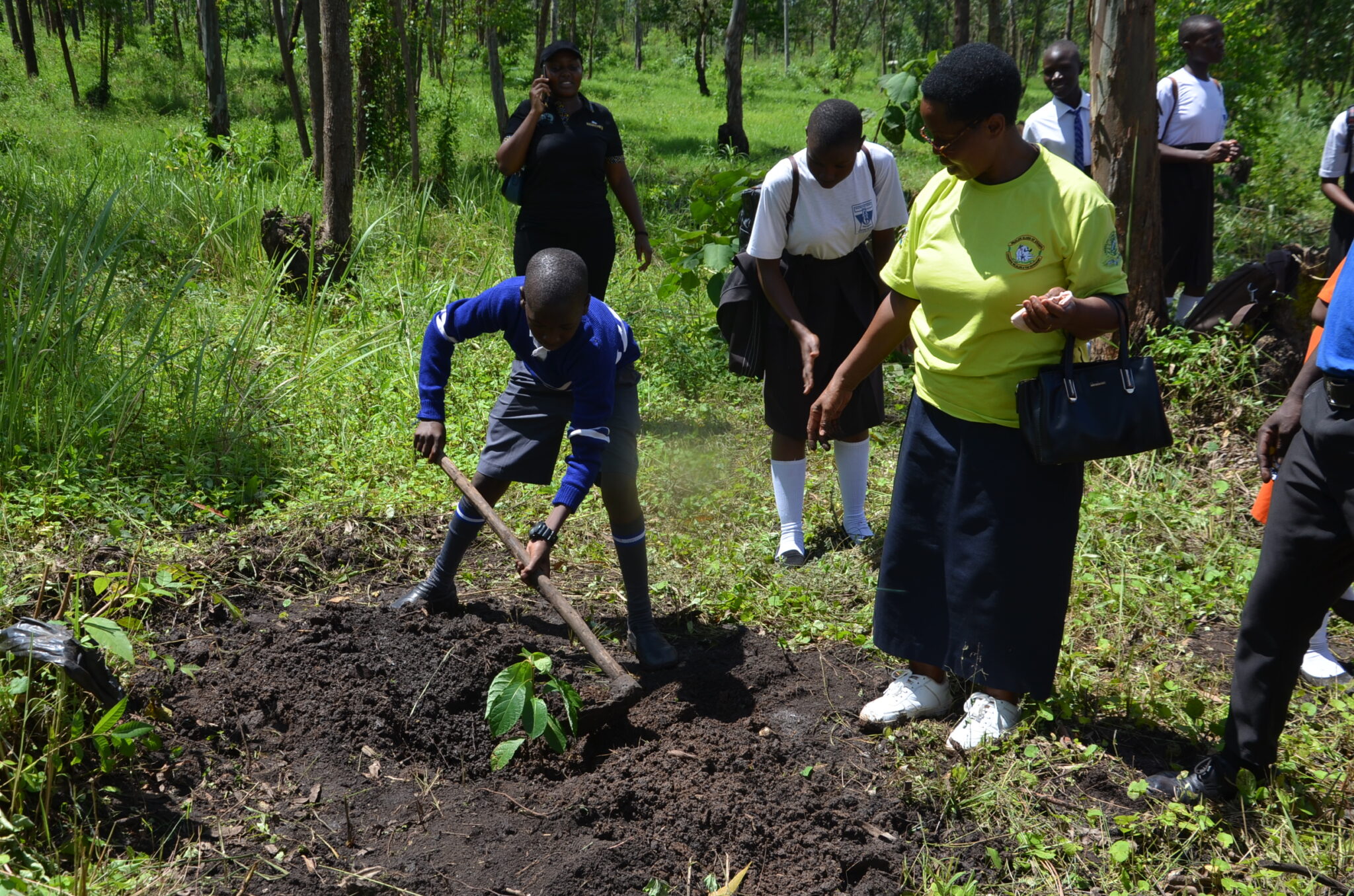 Uganda looks at Ecosystems Restoration in Celebrating World Environment ...
